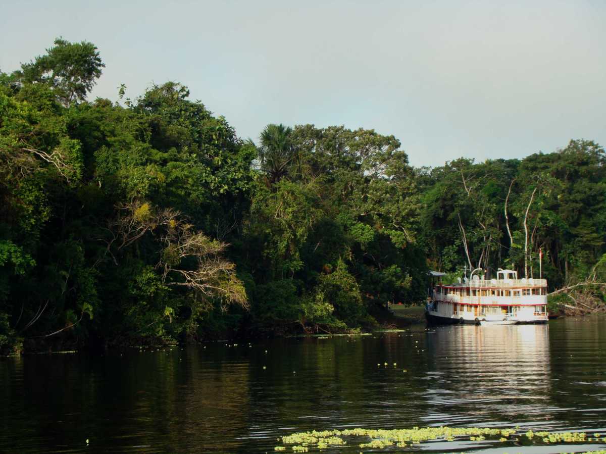 A Typical Day aboard the Lobo de Rio | Lawrence Ball │ Conservation Science